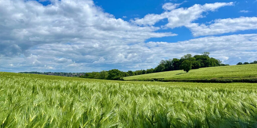 Bovingdon 10K Road Race 2025 | Hertfordshire, UK