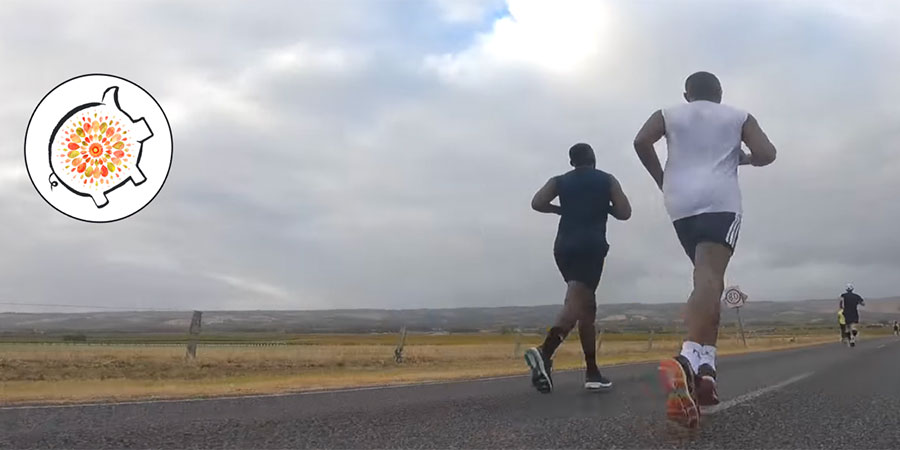 Ginny Pig Run in McLaren Vale, South Australia