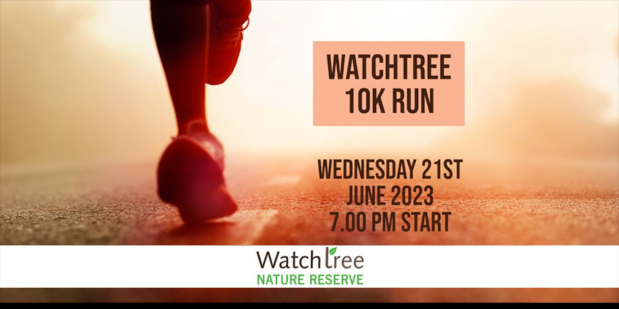 Watchtree 10K Run at Watchtree Nature Reserve in Carlisle, Cumbria