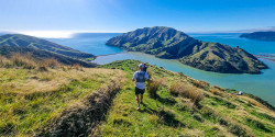 The Bay Trail Run in Nelson on 25 May 2024